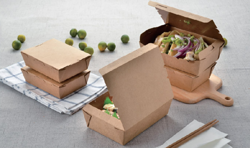 Paper Takeaway Boxes — Modenzo Food Packaging